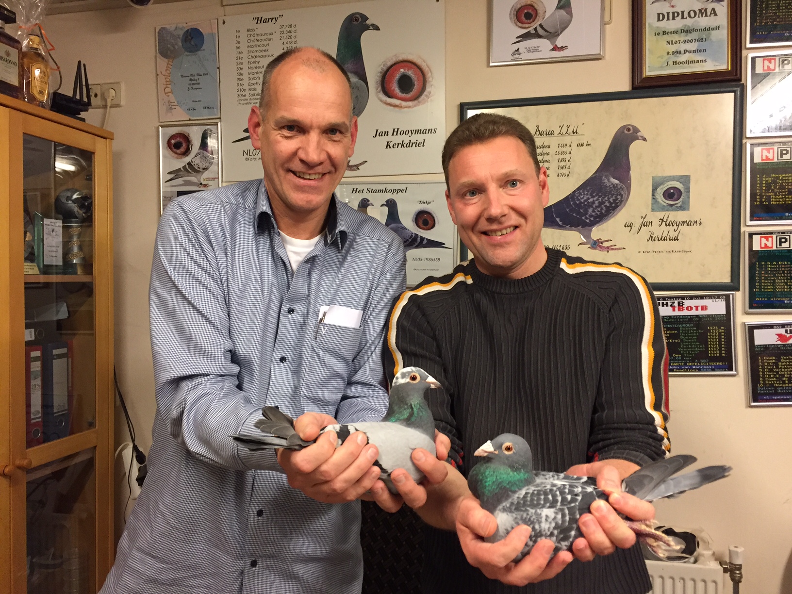 “Carnival Wonder” goes to Kerkdriel! - Hooymans Pigeons