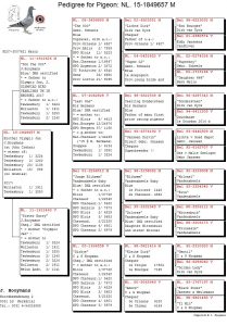 John Crehan (UK) (Crehan & O’Connor) has a fantastic start of season ...