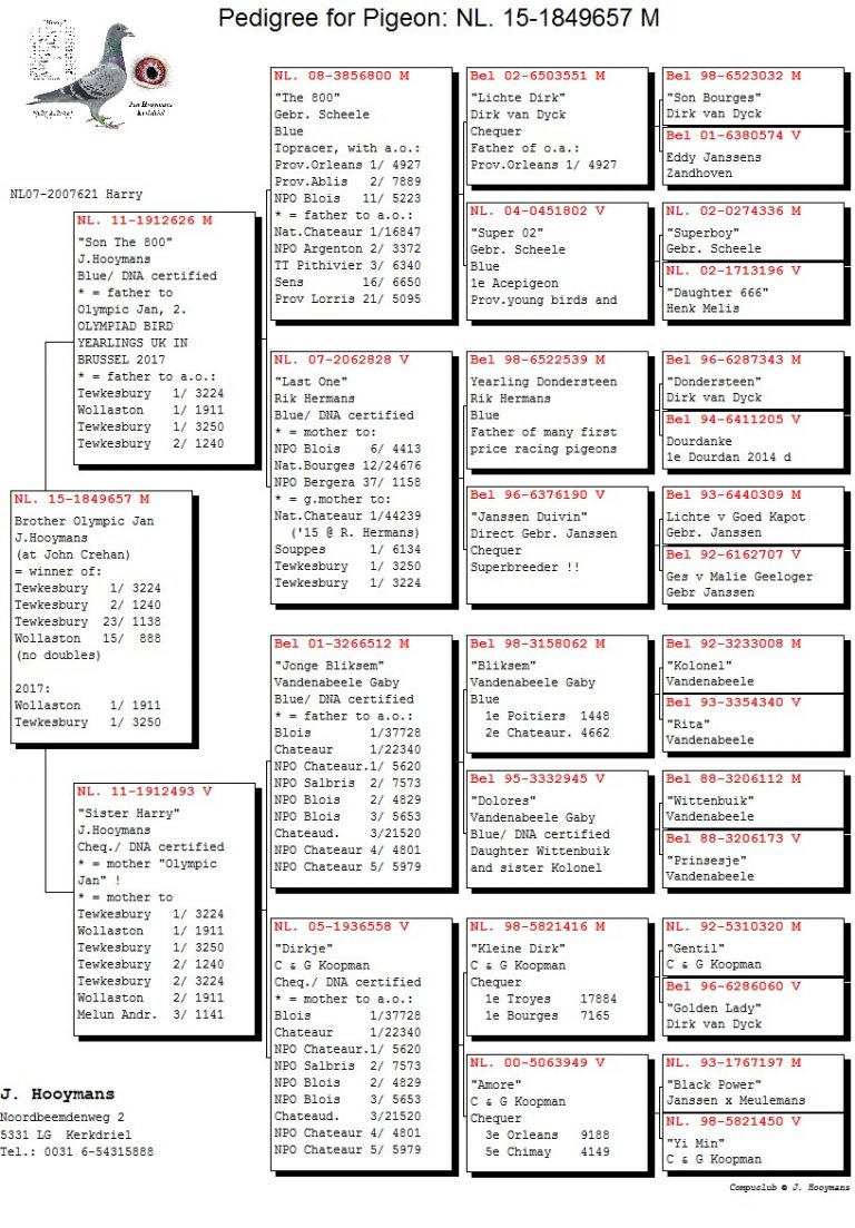 John Crehan (UK) (Crehan & O’Connor) has a fantastic start of season ...